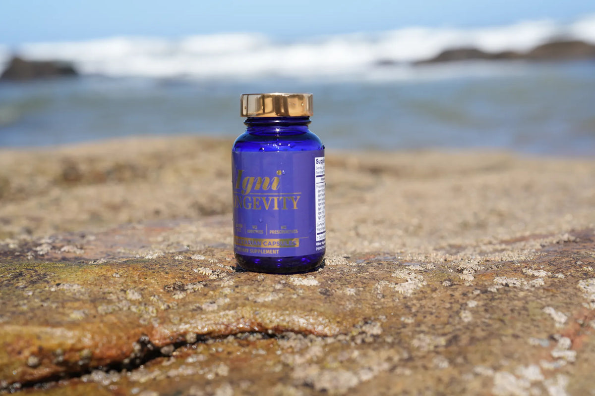 Supplements for Oxidative Stress | Antioxidant Support for Cellular Ba ...