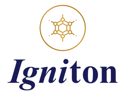 About Igniton